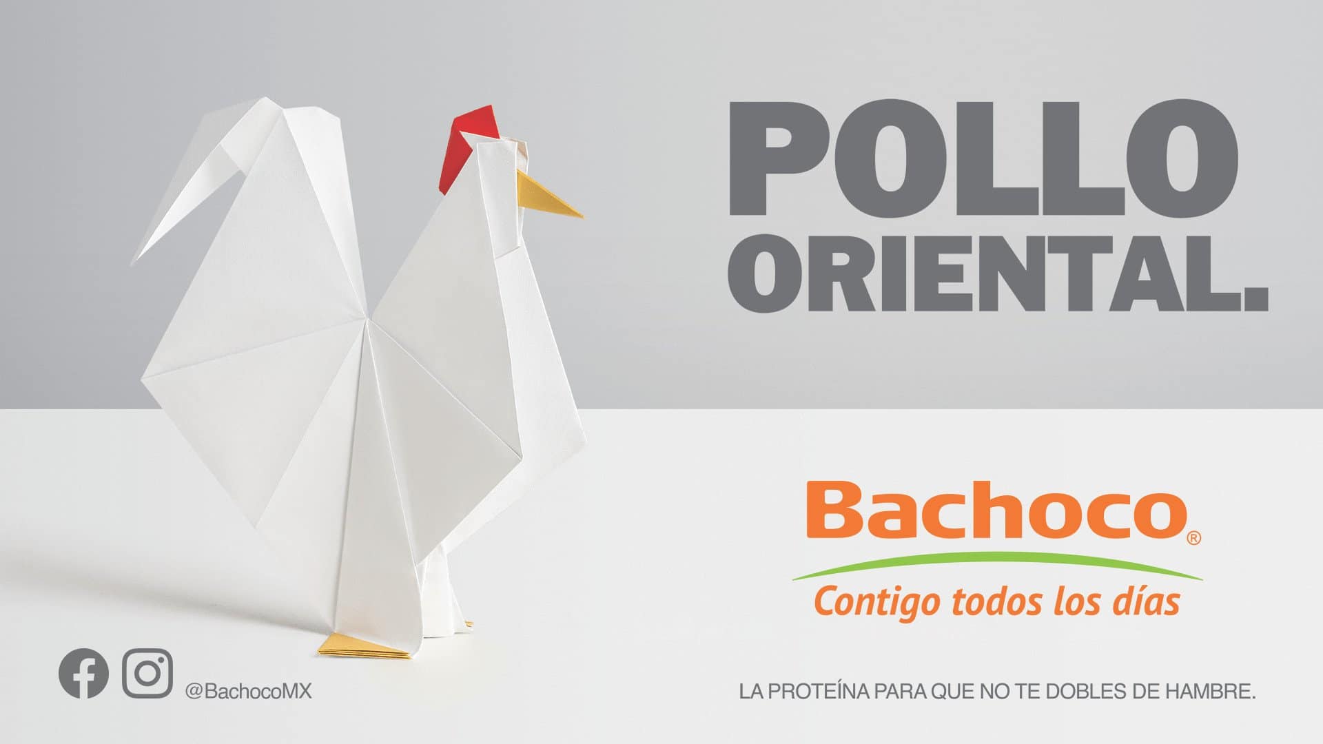 BACHOCO – Orbit